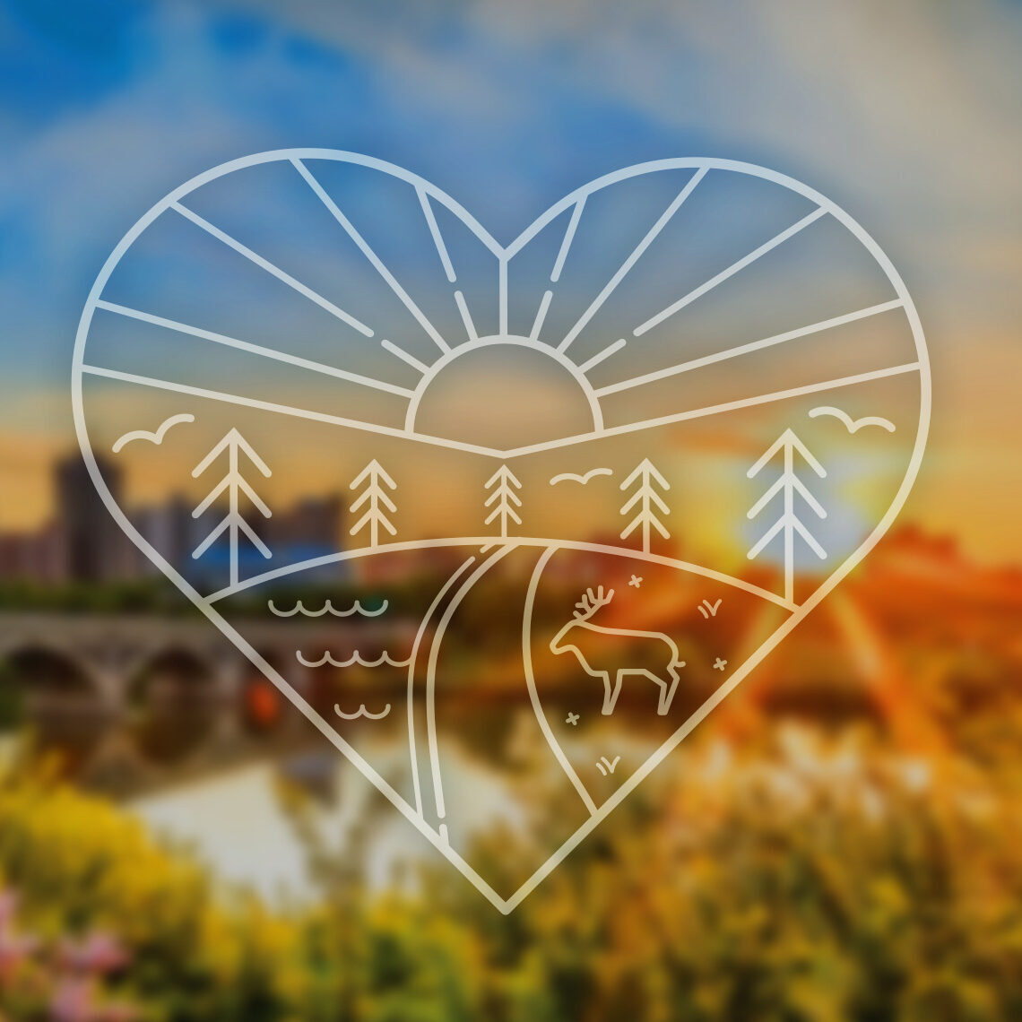 More Than a Trail | Balloonfish